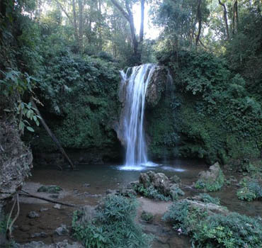 Jim Corbett Naitional Park | Jim Corbett Tourism | Corbett.