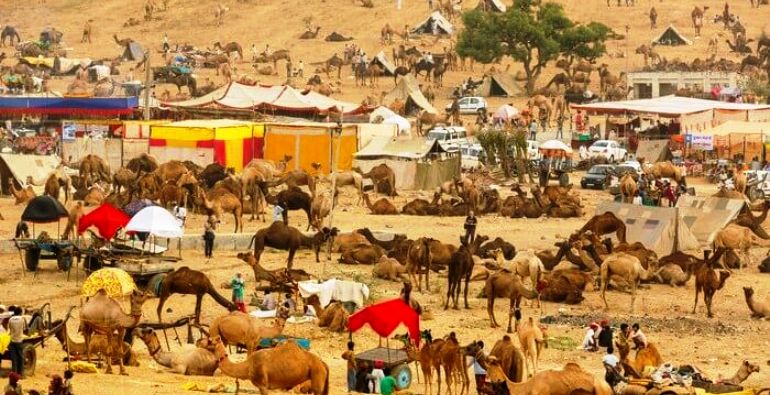 Pushkar Tour Packages,Pushkar Holiday Packages, Pushkar Trip